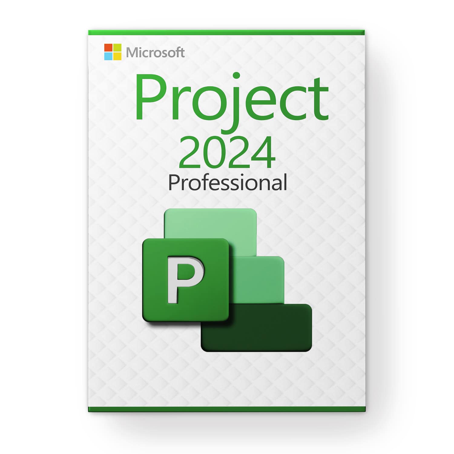 Microsoft Project 2024 Professional Lizenz für 3 PC - Switzerland